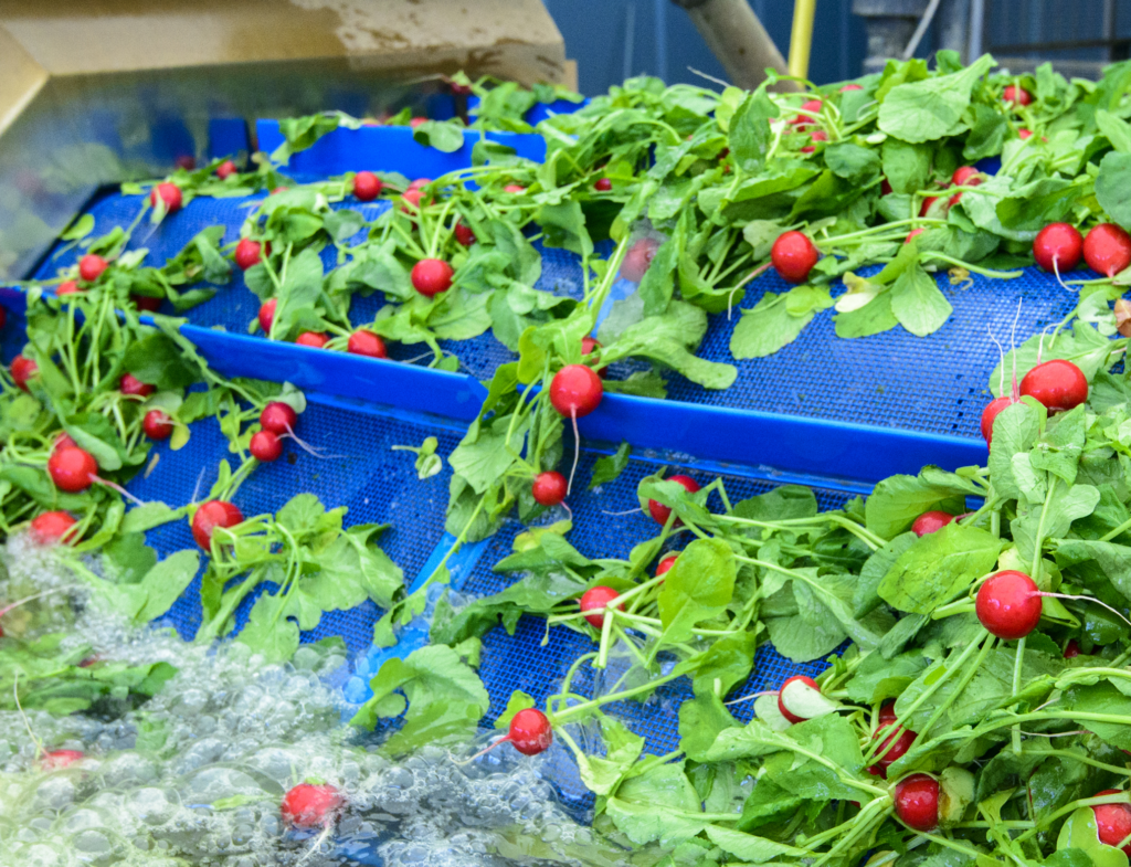 Detectable Plastics For Food Processing Equipment & Comparison Chart ...